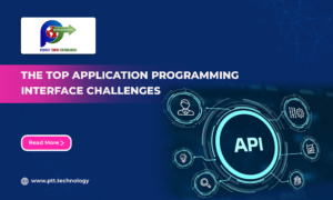 THE TOP APPLICATION PROGRAMMING INTERFACE CHALLENGES – Perfect Timing ...